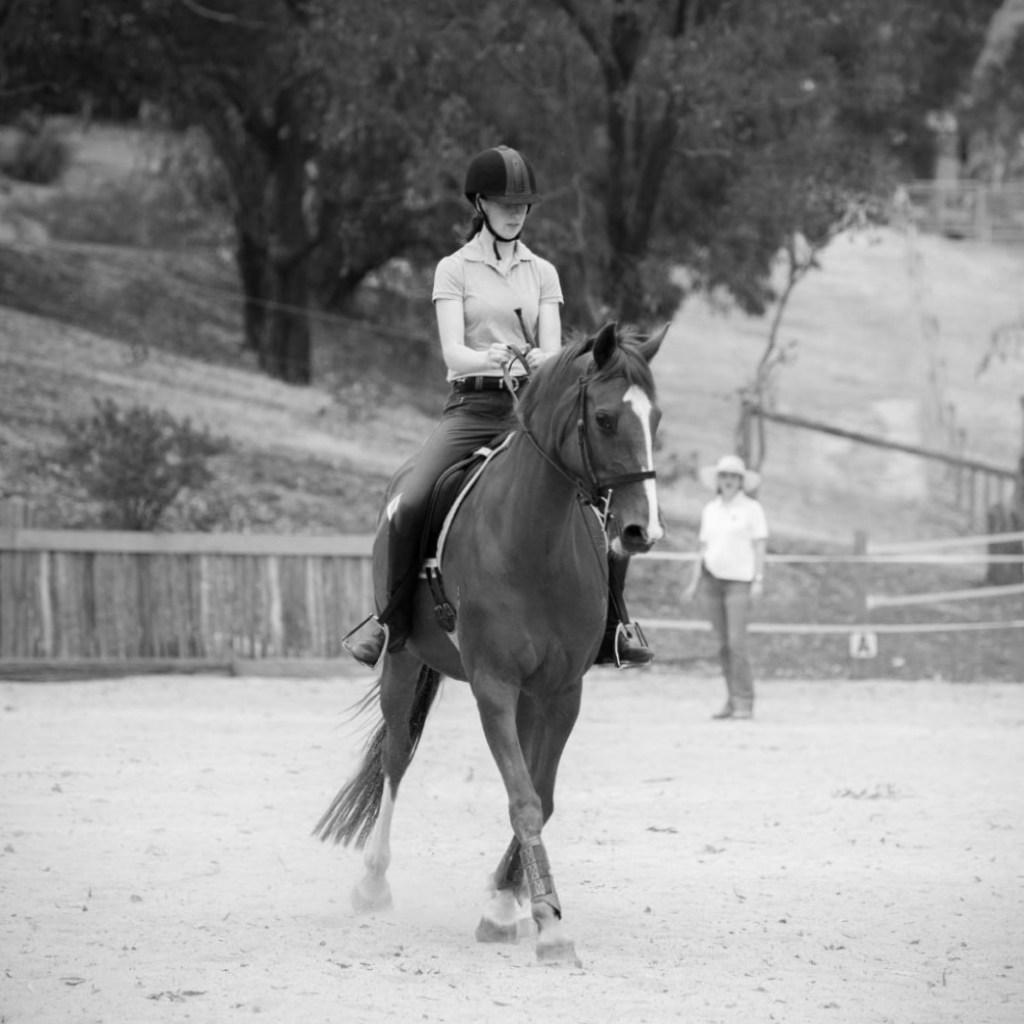 Services – Classical Riding & Dressage – Susie Walker