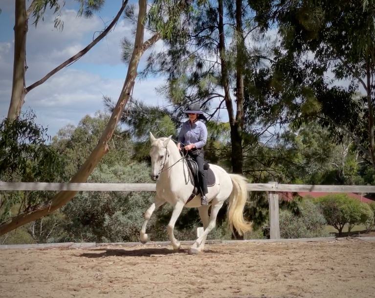 10 Little Training Tips – Classical Riding & Dressage – Susie Walker